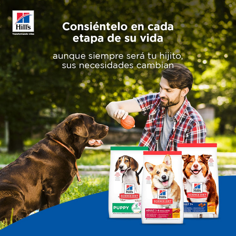 Snack para Perro Dogo Albondigas de Res – Hipermascotas